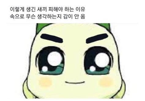 맑은 눈의 광기 양파쿵야 레전드 짤 모음zip 맑눈광 주먹밥쿵야 네이버 블로그