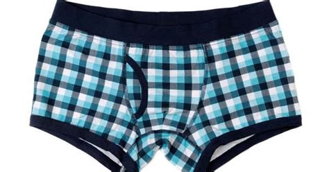 드로즈 팬티 입는다면 남성성 괜찮은지 확인을… 트렁크가 좋아요