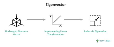 Eigenvector What Is It Examples How To Find Finance Example