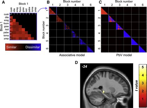 Model Based Representational Similarity Analyses Of Test Trials A