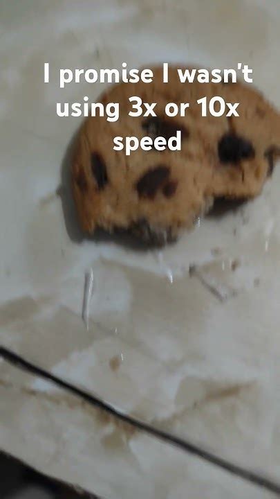 way slower than a snail youtube