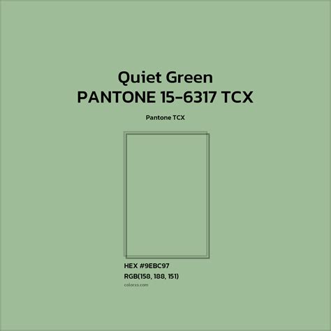 Pantone 15 6317 Tcx Quiet Green Complementary Or Opposite Color Name And Code 9ebc97