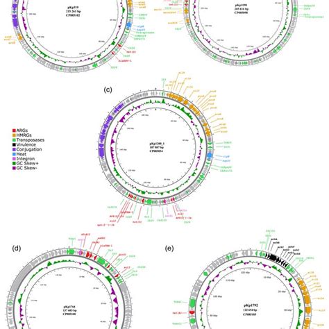 Genomic Maps Of The Resistance Plasmids From K Pneumoniae Isolated Download Scientific Diagram