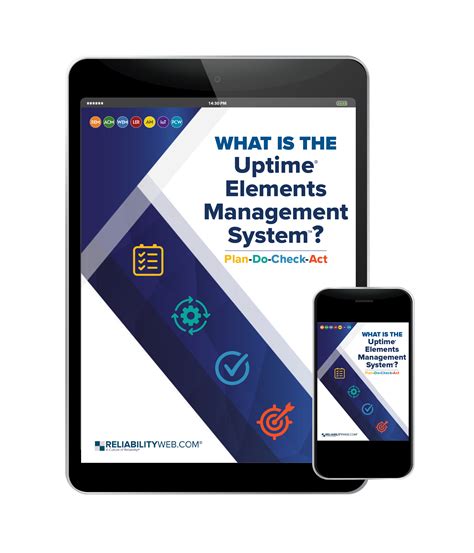 Body Of Knowledge Crl And Cmm Reliability Marketplace