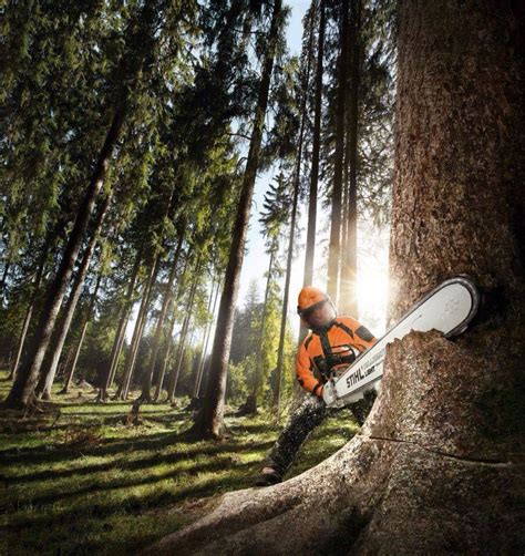 Stihl Logging Equipment Heavy Equipment Tree Lopping Tree Arborist Pine Beetle Tree Care