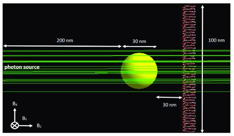 Three Orientations Were Considered For The Magnetic Field Bx By And Download Scientific