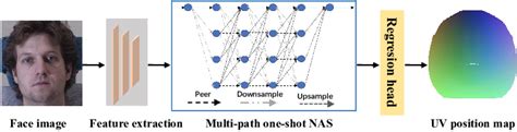 The Proposed Framework Of The Multi Path Neural Architecture Search For Download Scientific