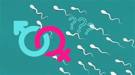 Gender Selection The Processes And Ethical Debate