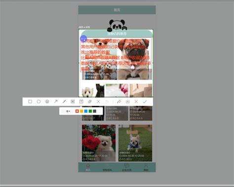 基于springbootvue的宠物社交平台设计和实现源码lw部署讲解 Csdn博客