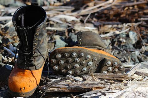 Ten Important Tree Planting Terms THE ENVIRONMENTOR