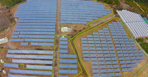 마라도 면적의 27배 수망 태양광 발전 시설 추진 논란