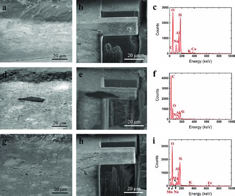 SEM Observation And EDS Characterization Of The Representative Test Download Scientific Diagram