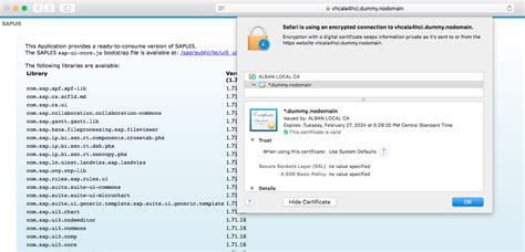 Resolve Annoying Self Signed SSL Certificate Issue SAP Community