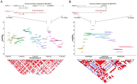 Fine Mapping Of Genome Wide Significant Regions On A Chromosomes 4