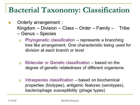 Unlocking The Secrets Of Taxonomy And Classification Your Answer Key Is Here