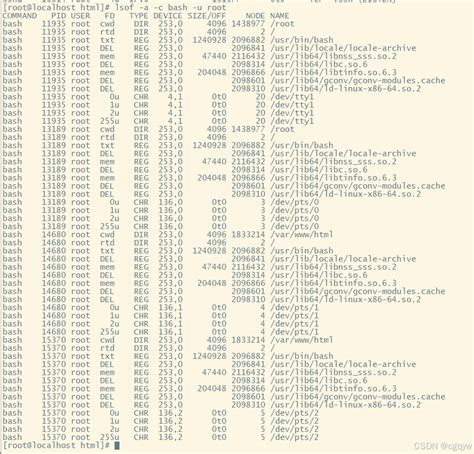 深入理解 lsof：linux 系统中的文件打开状态洞察者 csdn博客
