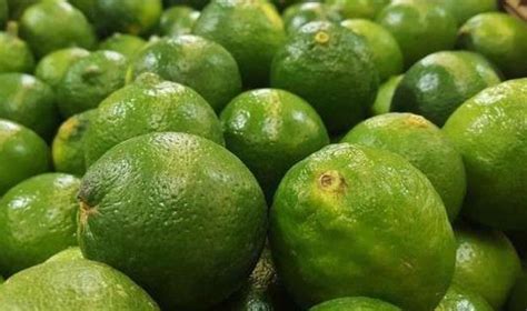 Siopen Hss Catering Mama Leha Jeruk Nipis