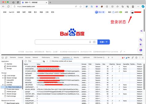 playwright如何利用cookie免登录 playwright cookie csdn博客