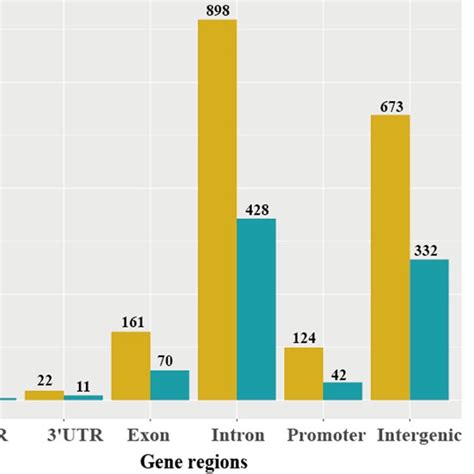 Histogram Of Annotation Of Differentially Methylated Regions Dmrs In Download Scientific