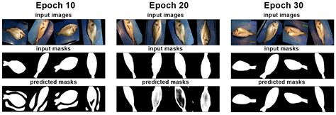 An Improved Deep Learning Model For Underwater Species Recognition In