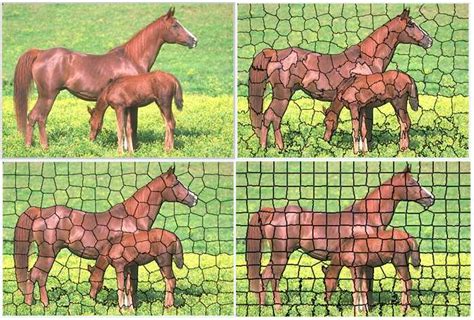 3 superpixel generating effect of original image top left and