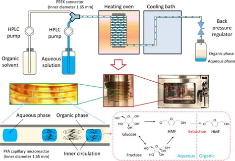 Schematic Diagram Of The Slug Flow Capillary Microreactor System For