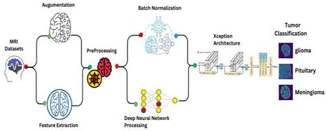 Frontiers Employing Xception Convolutional Neural Network Through High Precision Mri Analysis