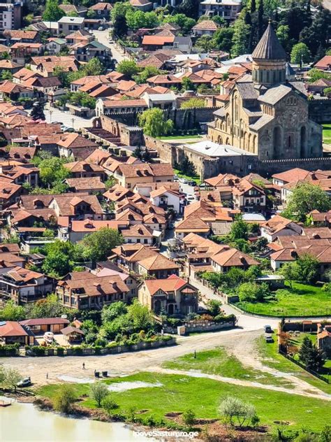 სვეტიცხოველი რა უნდა იცოდეთ