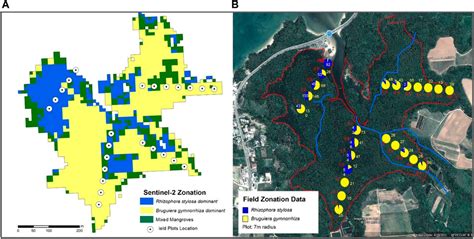 Frontiers Development Of A Rapid Mangrove Zonation Mapping Workflow Using Sentinel 2 Derived