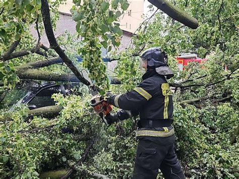 В Петербурге во время урагана погибла 36 летняя женщина МК