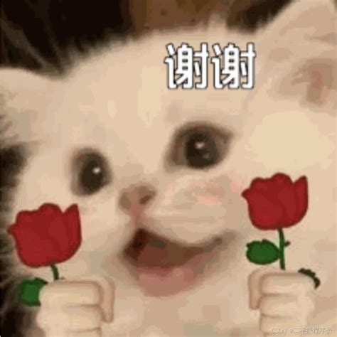 多表查询之嵌套查询 Csdn博客