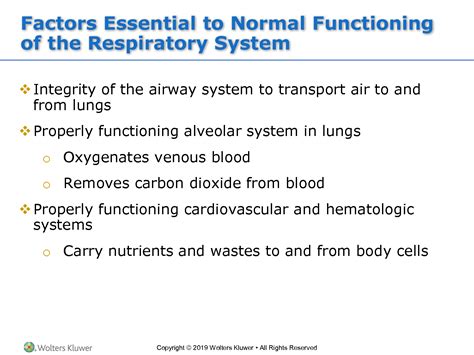 Solution Oxygenation And Perfusion Studypool