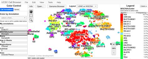 Single Cell Resources At Ucsc
