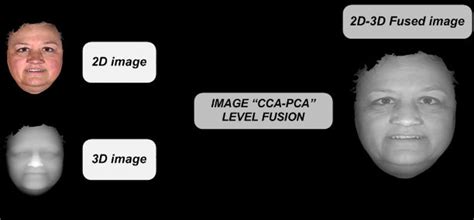 The Principles Of The Fusion Algorithm For 2d 3d Image Fusion