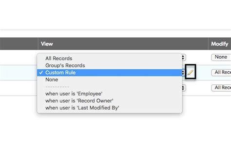 Conditional Filters For Record Permissions Using Roles Intermediate