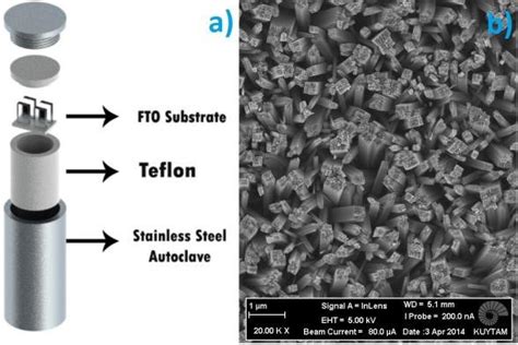 A A Schematic Illustration About Hydrothermal Method B SEM Image Of Download Scientific