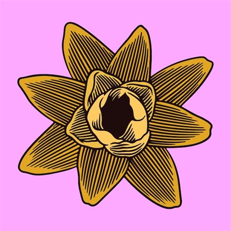 Premium Vector Lily Flower Vector Illustration