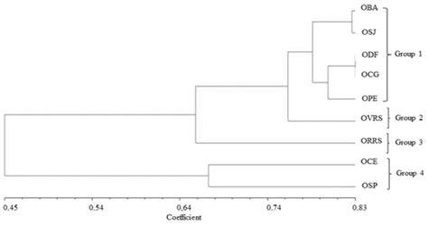 Dendrogram Generated By Upgma Method Based On Issr Pcr Amplicons From