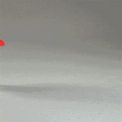 🍄 Blob Mushrooms Mini Mushroom Collectible Art Toy With Stump Holder・ 3d File For 3d Printing