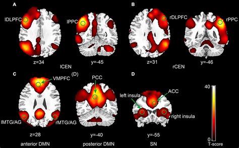 Frontiers Impact Of Real Time Fmri Working Memory Feedback Training On The Interactions