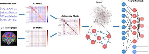 figure 1 from bracenet graph embedded neural network for brain network