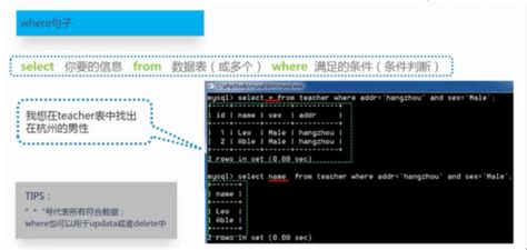 WEB前段HTML JS后端 MYSQL PHP 开发基础 枕桃花吹长笛 博客园