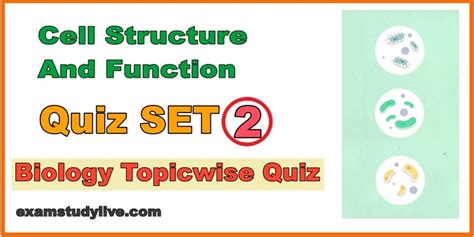 Quiz On Cell Structure And Function Biology Gk SET 2 ExamStudyLive
