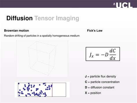 ppt diffusion tensor imaging powerpoint presentation free download