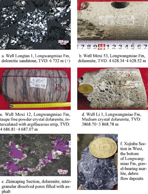 Lithology Of Typical Sedimentary Facies Download Scientific Diagram