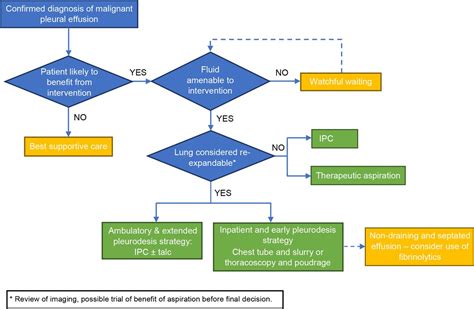 British Thoracic Society Guideline For Pleural Disease Thorax
