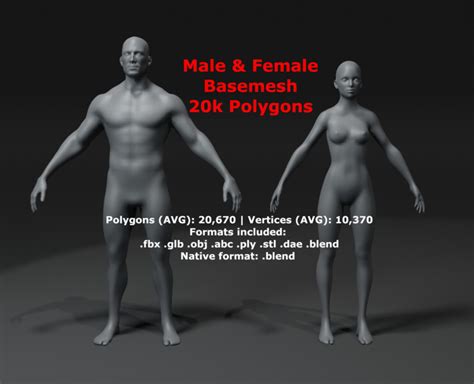 Male And Female Body Base Mesh FlippedNormals