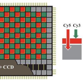 Proposed Color Filter Array Based Single Sensor Configuration Download Scientific Diagram