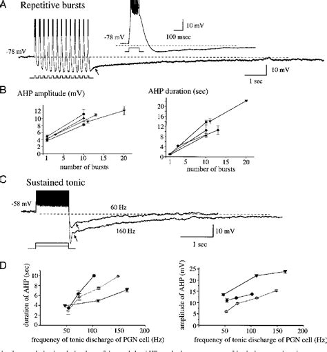 Figure 2 From Functional And Ionic Properties Of A Slow Afterhyperpolarization In Ferret