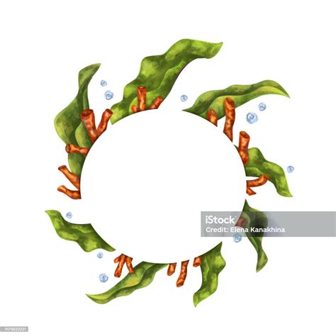 원형 수중 세계를 가진 밝은 구성 붉은 산호와 해초 인쇄 스티커 포스터 엽서 인쇄물 기념품 구도에 대한 스톡 벡터 아트 및 기타 이미지 Istock